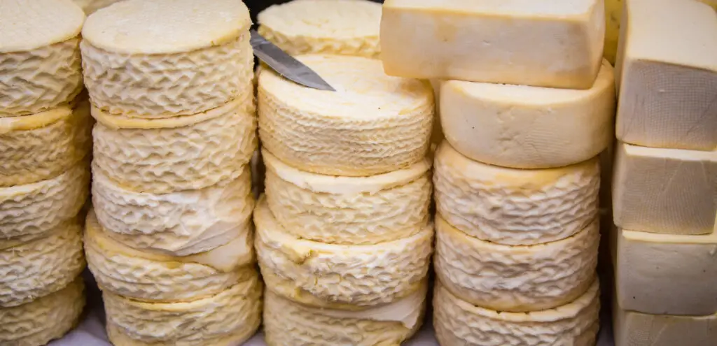 Glossary of Cheese Terms - Mexico Cheese